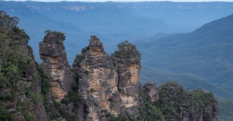 AutoIMS - About Us - Connecting Consignors With Auctions